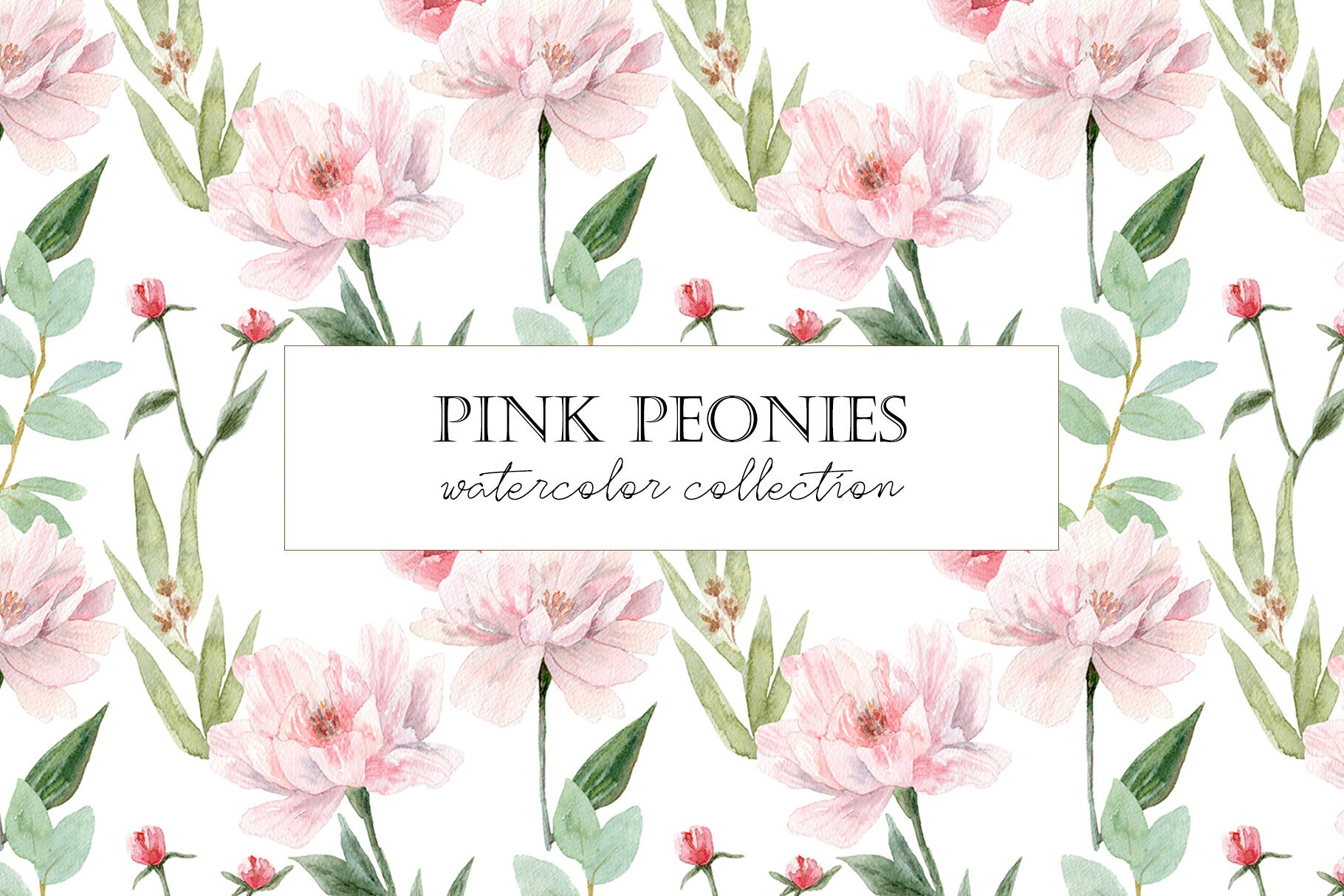 Pink Peonies Watercolor Clipart. Peony Flowers PNG Clip Art. Floral ...