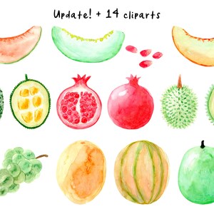 Watercolor Fruits Clipart. Summer Food, Sweet Tropical Exotic Fruit Png ...