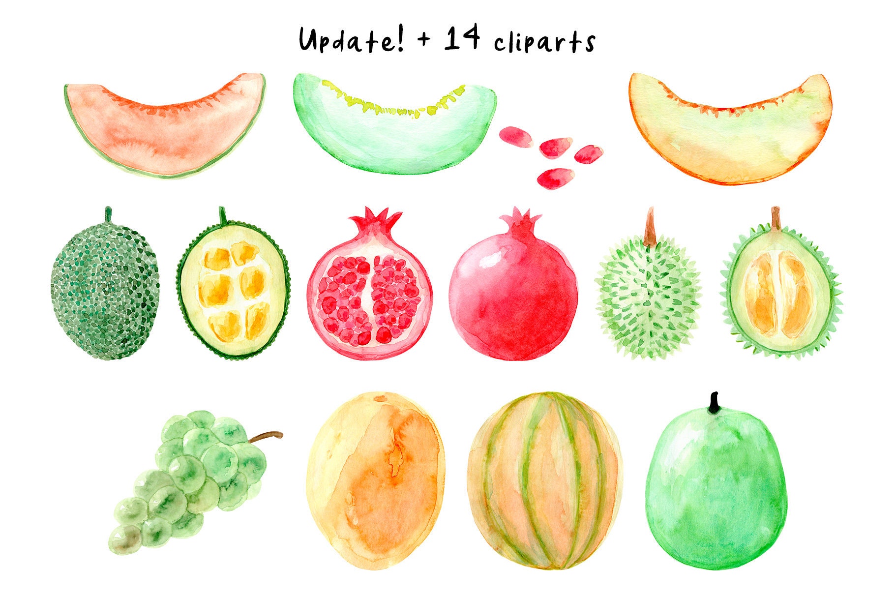 Watercolor Fruits Clipart. Summer Food, Sweet Tropical Exotic Fruit Png ...