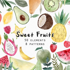 Watercolor Fruits Clipart. Summer Food, Sweet Tropical Exotic Fruit Png ...