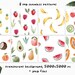 Watercolor Fruits Clipart. Summer Food, Sweet Tropical Exotic Fruit Png ...