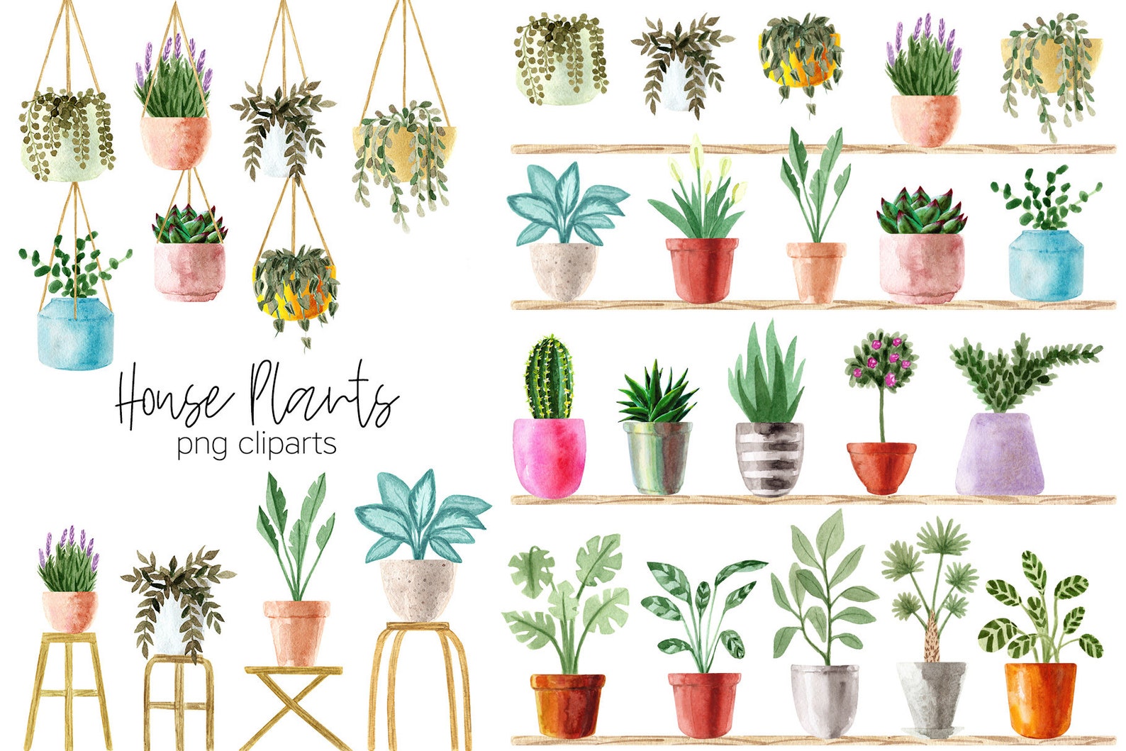 House Plant Watercolor Clipart. House Plants Planner Cliparts. | Etsy