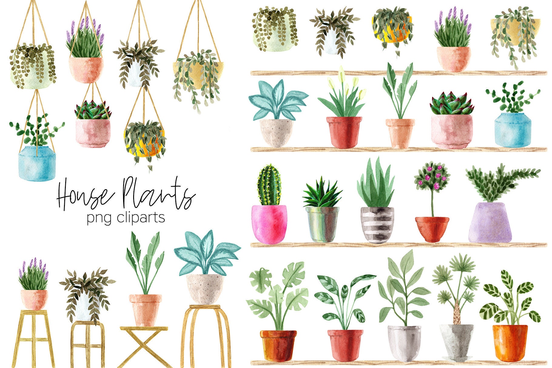 House Plant Watercolor Clipart. House Plants Planner Cliparts. Cactus ...