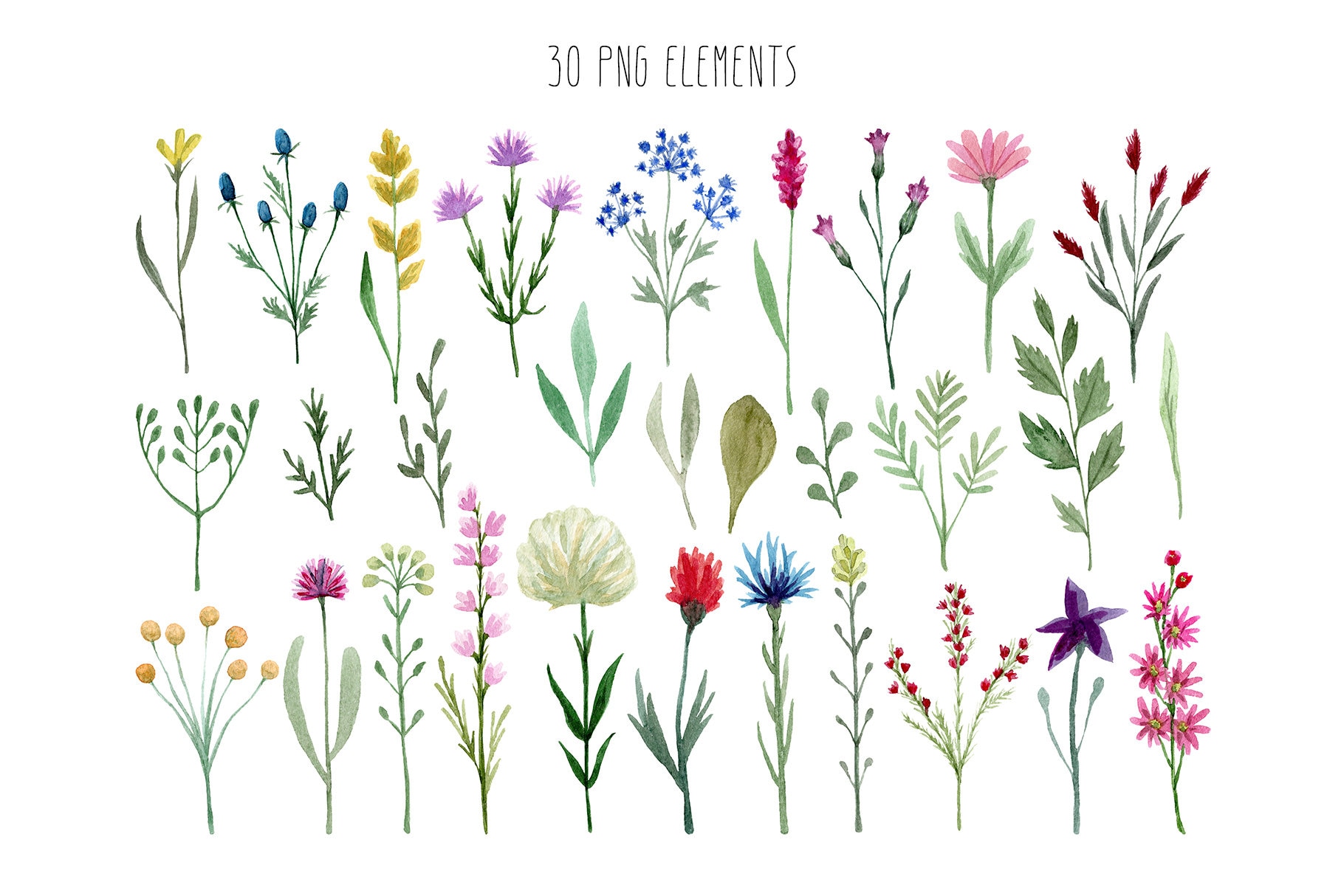 Watercolor Wildflowers Clipart Flower Png Seamless Patterns Set ...