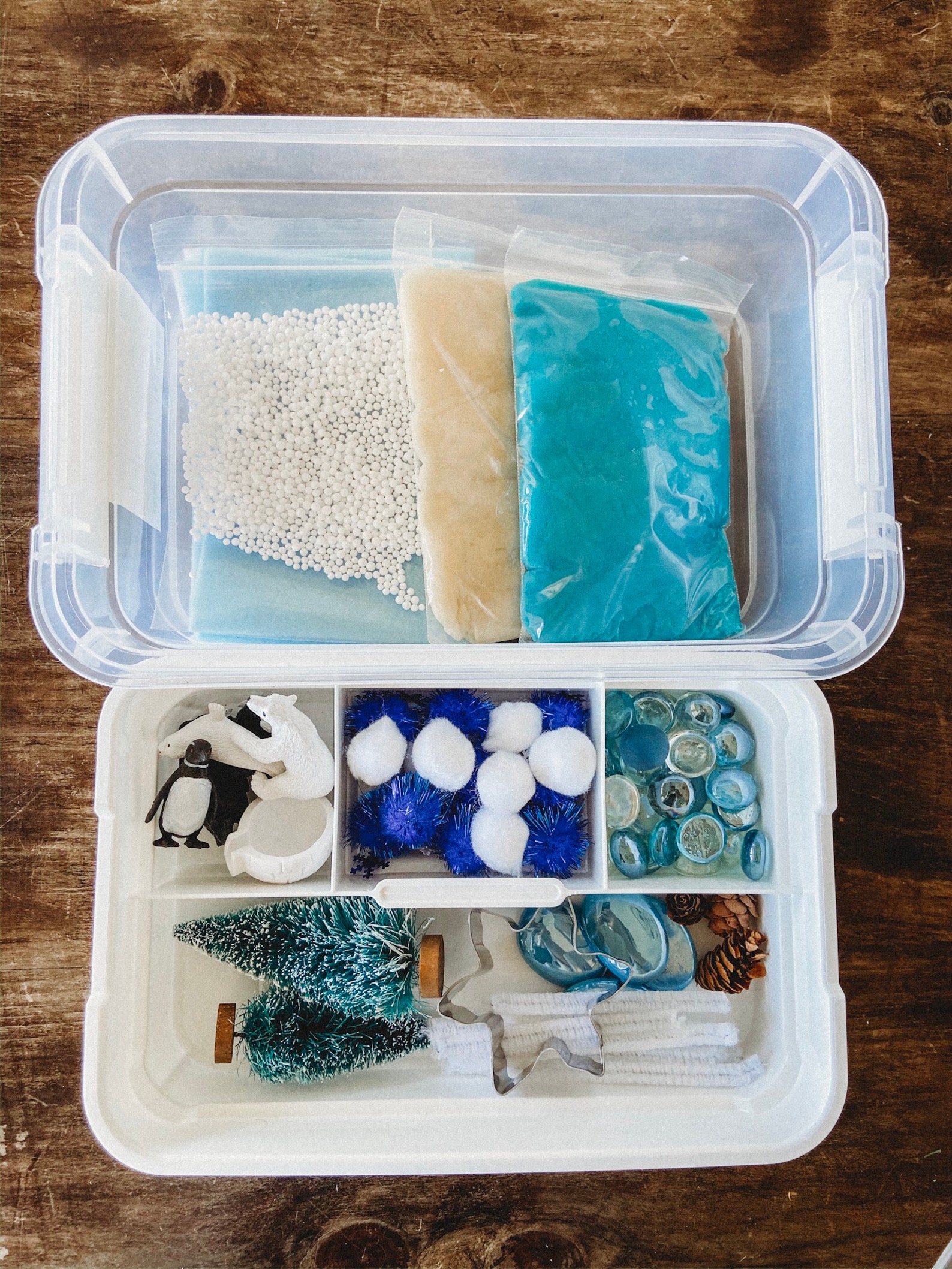 Sensory Play Bin “adventurous Arctic“ - Etsy