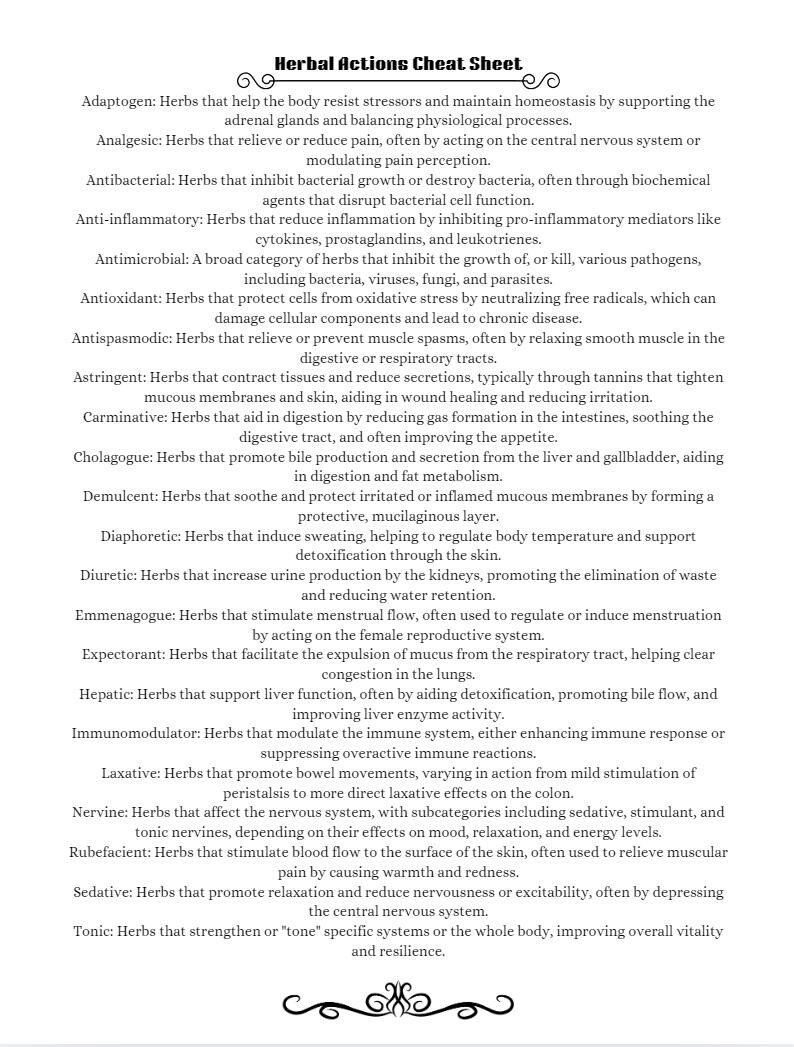 Herbal Action Botany Cheat Sheet Printable digital Download .PDF - Etsy