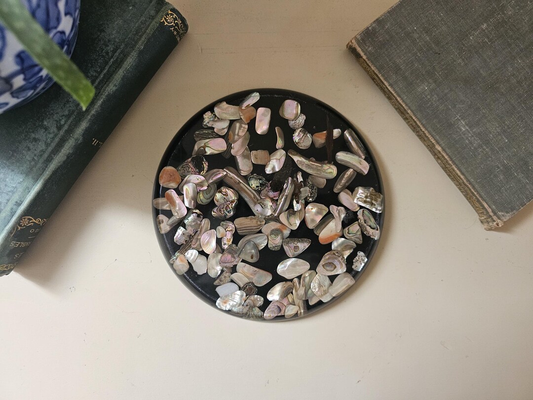 Vintage Black Abalone Shell Lucite Trivet | Midcentury Modern Style - Etsy