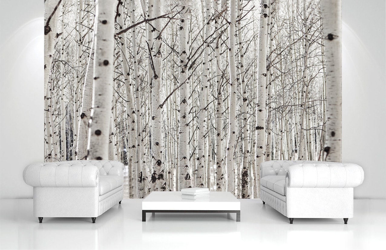 Birch Grove Wallpaper Tree Mural Botanical Art Floral Print Scenery ...