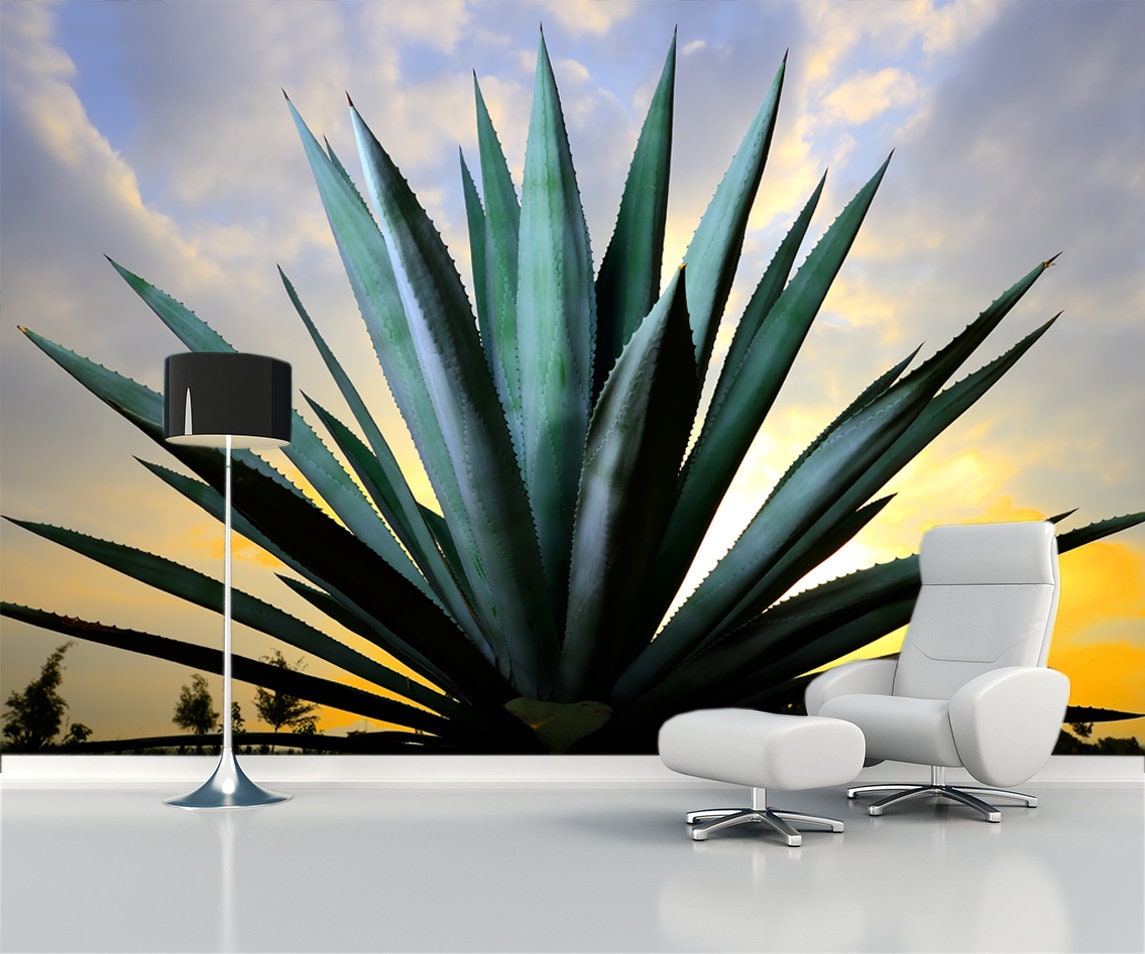 Agave Wallpaper Cactus Wall Decal Plant Mural Succulent Déco Removable ...
