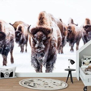 Buffalo Wallpaper Bison Wall Mural Peel & Stick Winter Decal Self ...