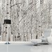 Birch Grove Wallpaper Tree Mural Botanical Art Floral Print Scenery ...