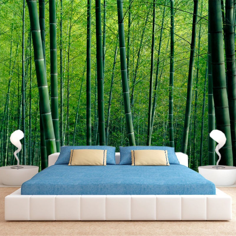 Bamboo Wallpaper - Etsy