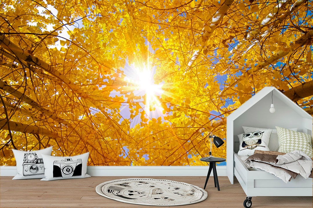 Treetops Wallpaper Autumn Wall Mural Peel and Stick Nature Print ...