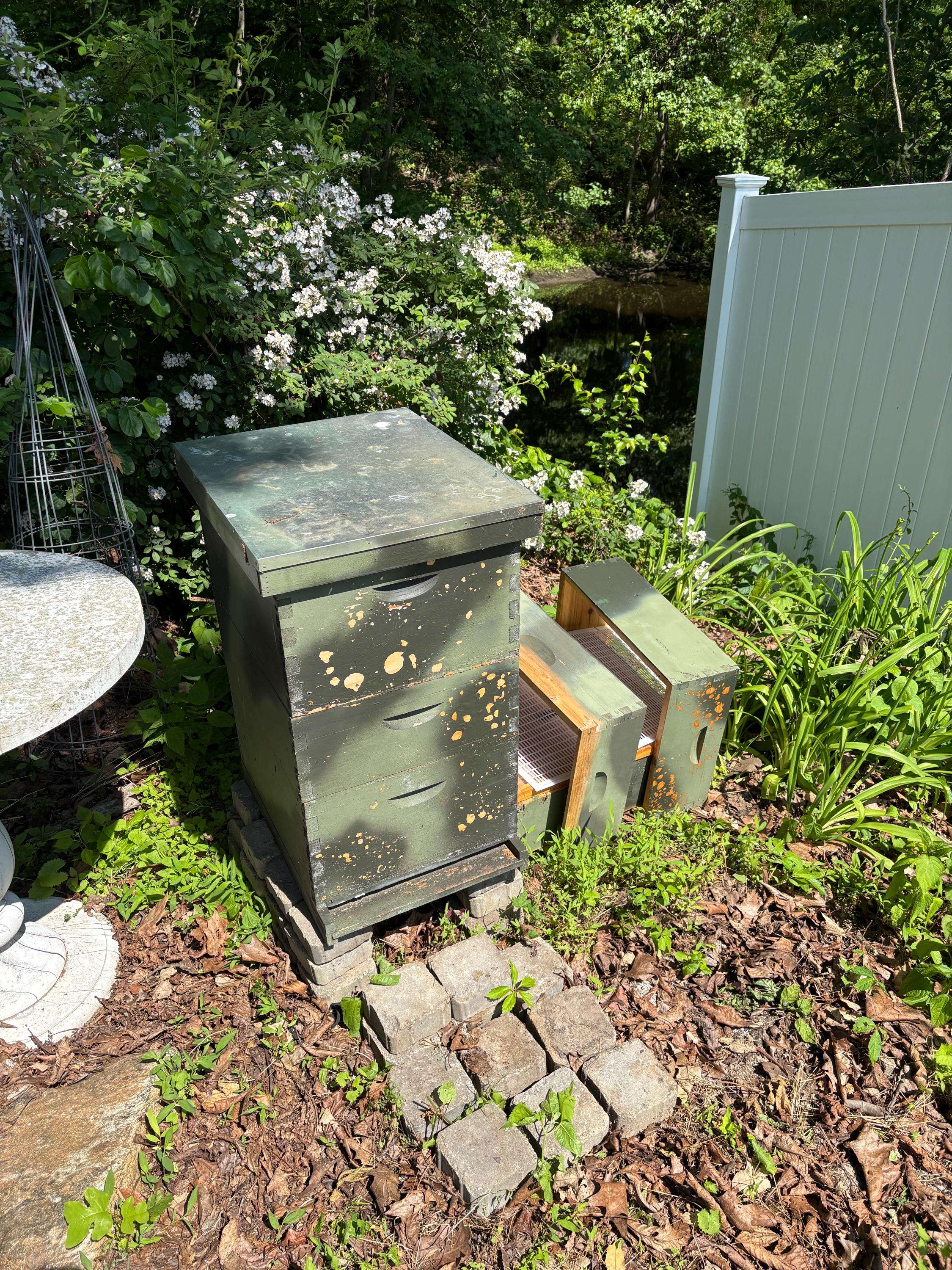 10 Frame,choose Any Configuration Boxes Bee Hive (not-assembled),choose ...