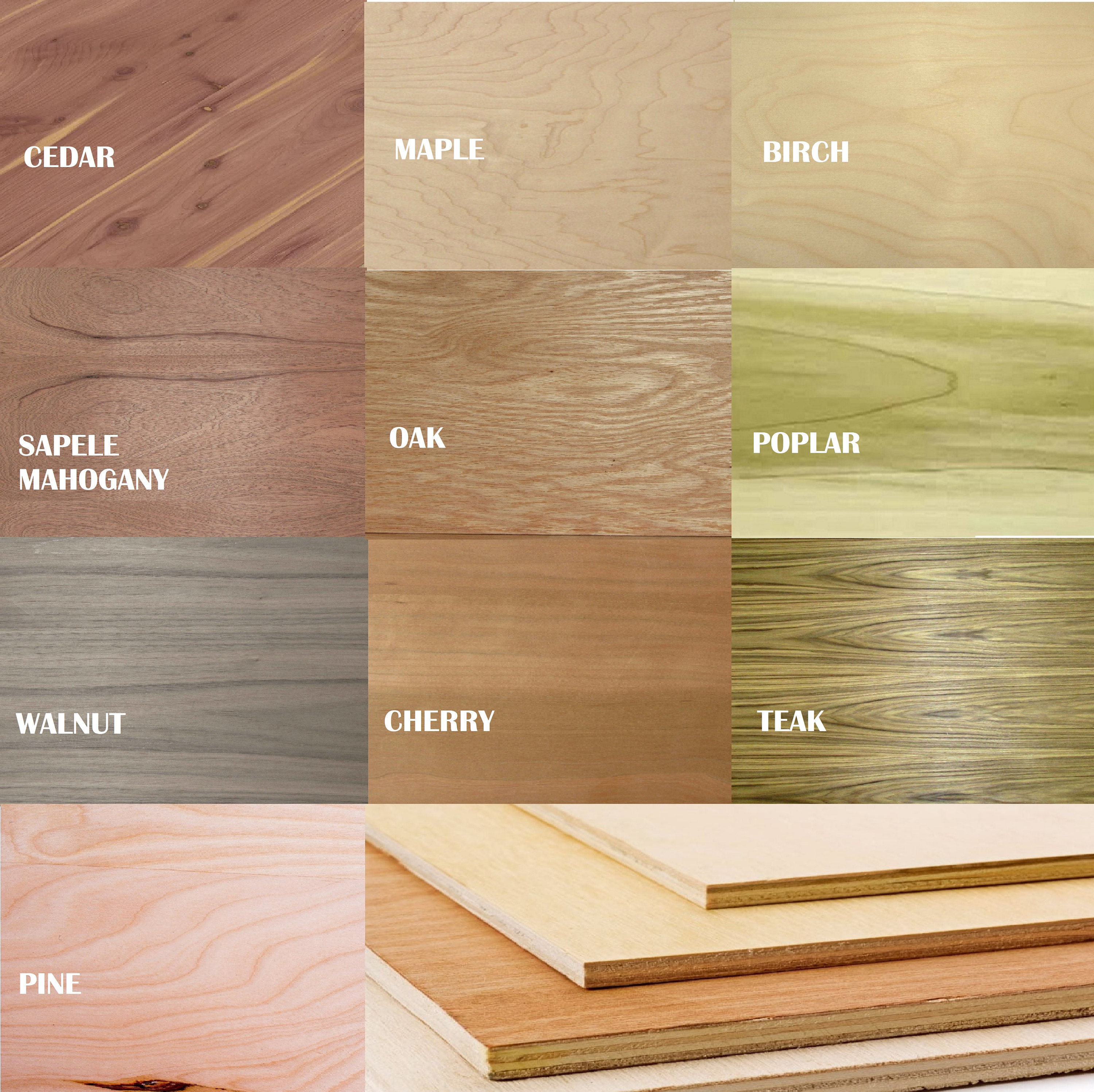 Plywood Sample Set: Custom Wood Selection (choose 4-5) - Etsy