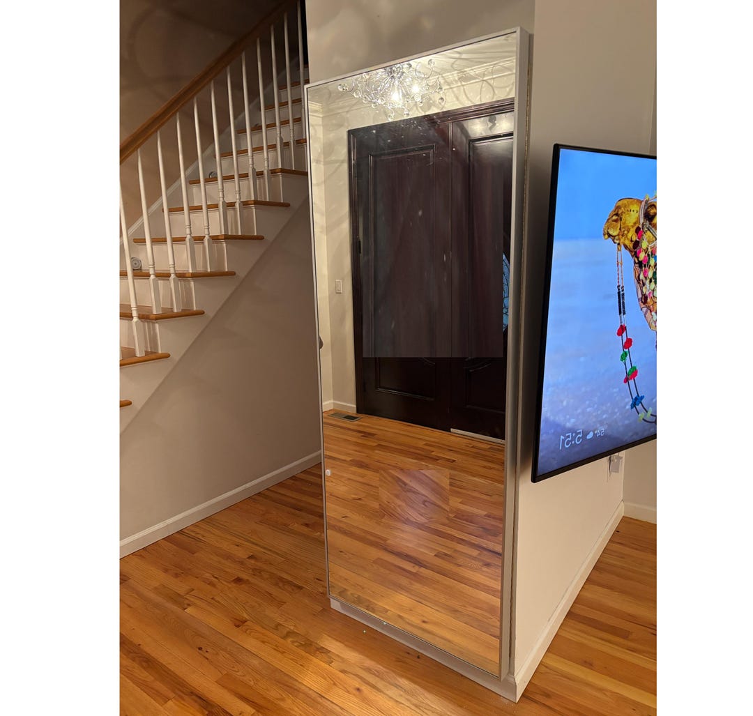 Wall Swing Mirror Hideaway on Hinge Hidden Medicine Cabinet or Weapon ...