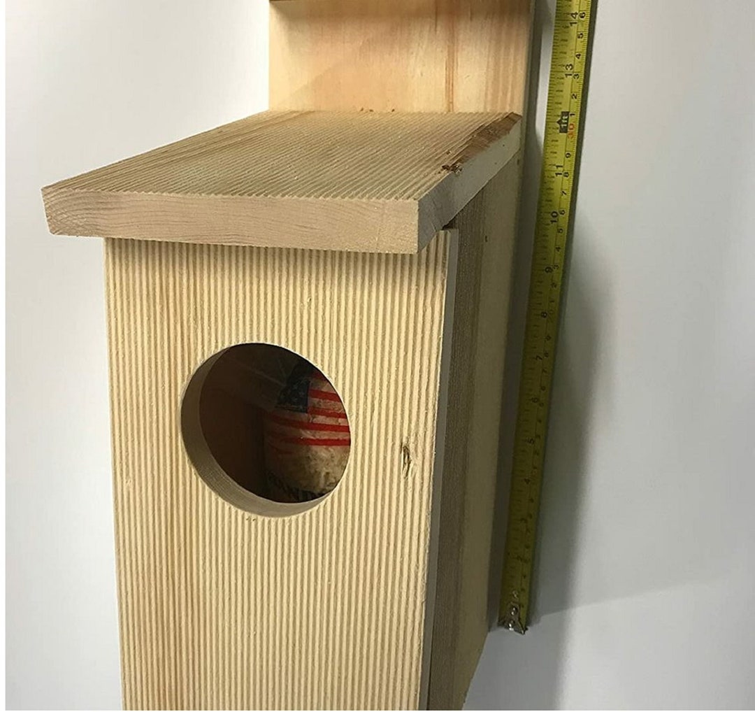 Bird House American Kestrel Nest Box Bird House 2-4" Hole Solid ...