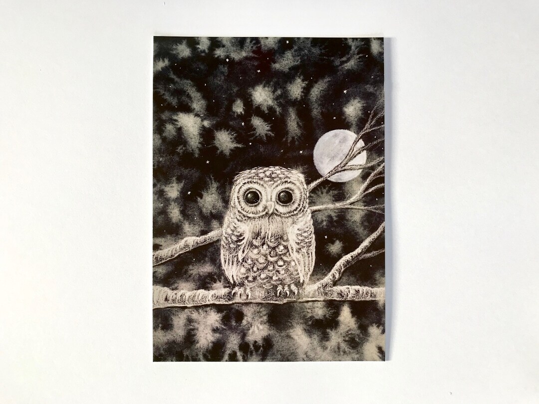 Ansichtkaart, Postcard, uil, uiltje, volle maan, greetingcard ...