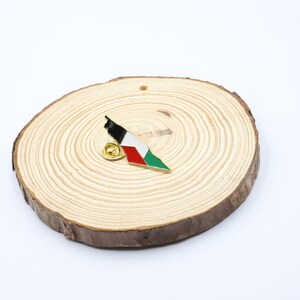 Palestine Brooch , Fancy Design , Flag , Brooch Map , Brooch ...