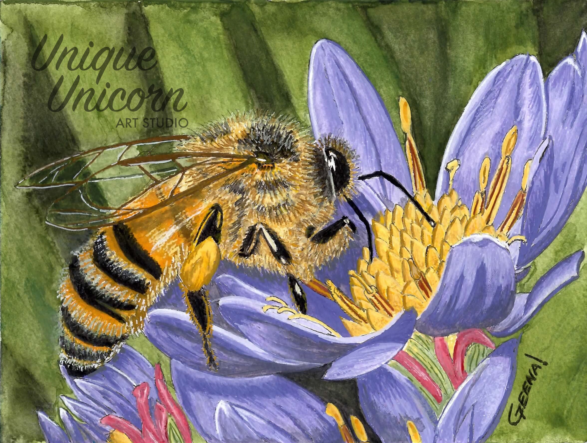 Honey Bee - Framed - Etsy