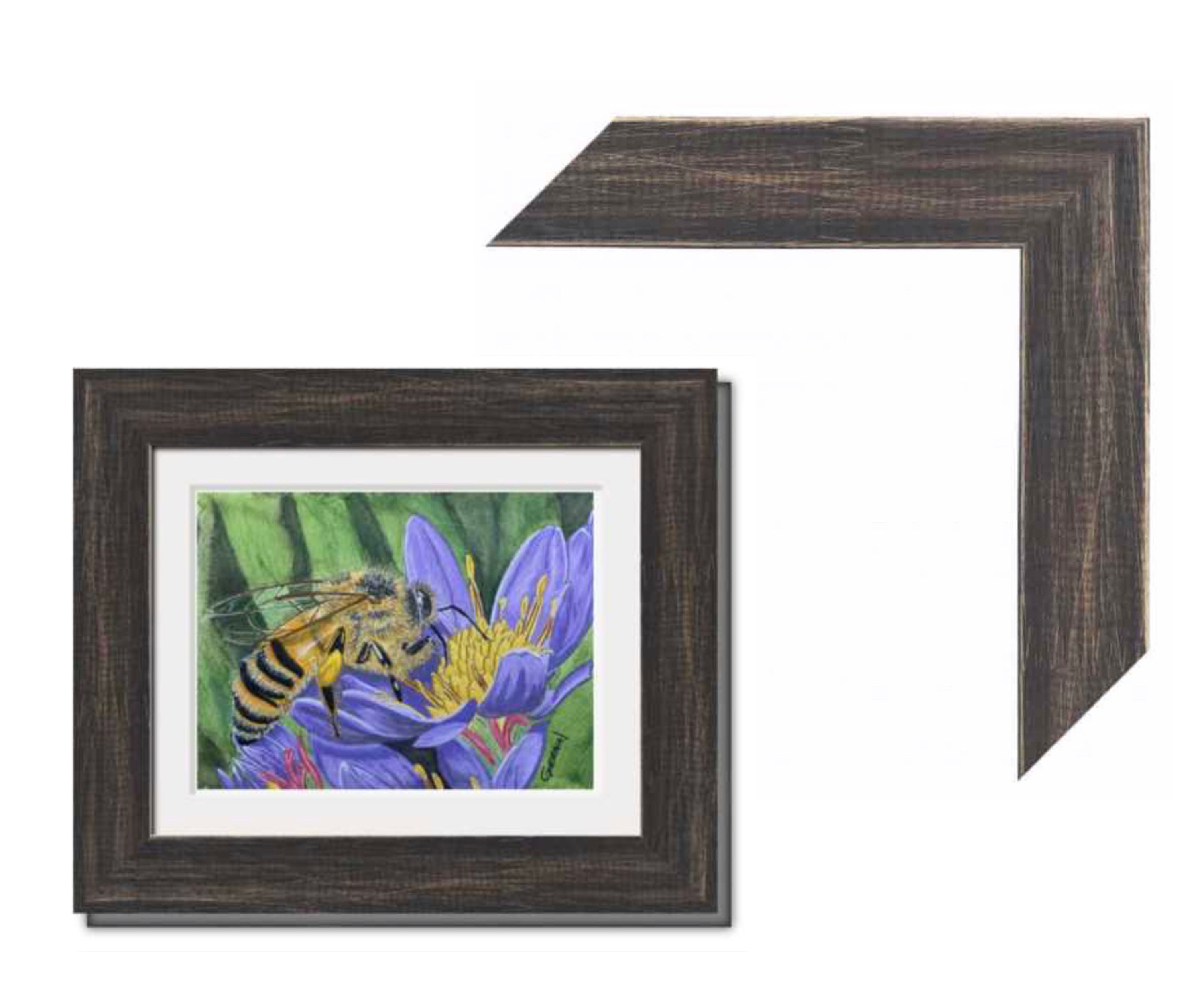 Honey Bee - Framed - Etsy
