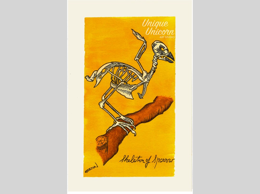 Sparrow Skeleton - Framed Gouache Watercolor Gold Yellow Gothic - Etsy