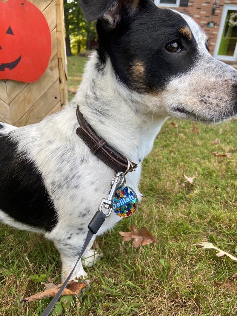 Jigsaw Puzzle Resin Pet Collar Tag Resin Dog Tag - Etsy