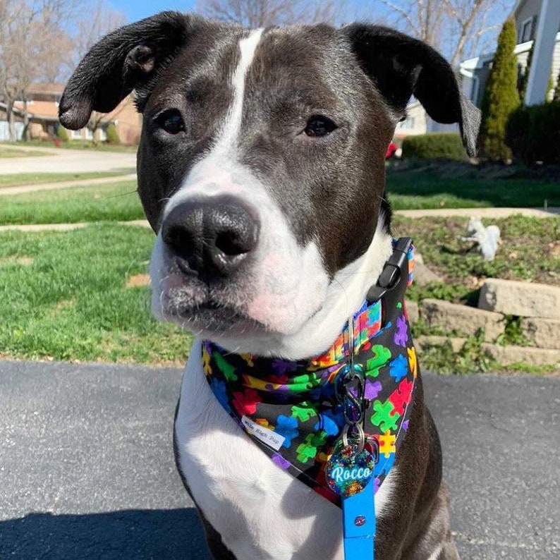 Jigsaw Puzzle Resin Pet Collar Tag Resin Dog Tag - Etsy