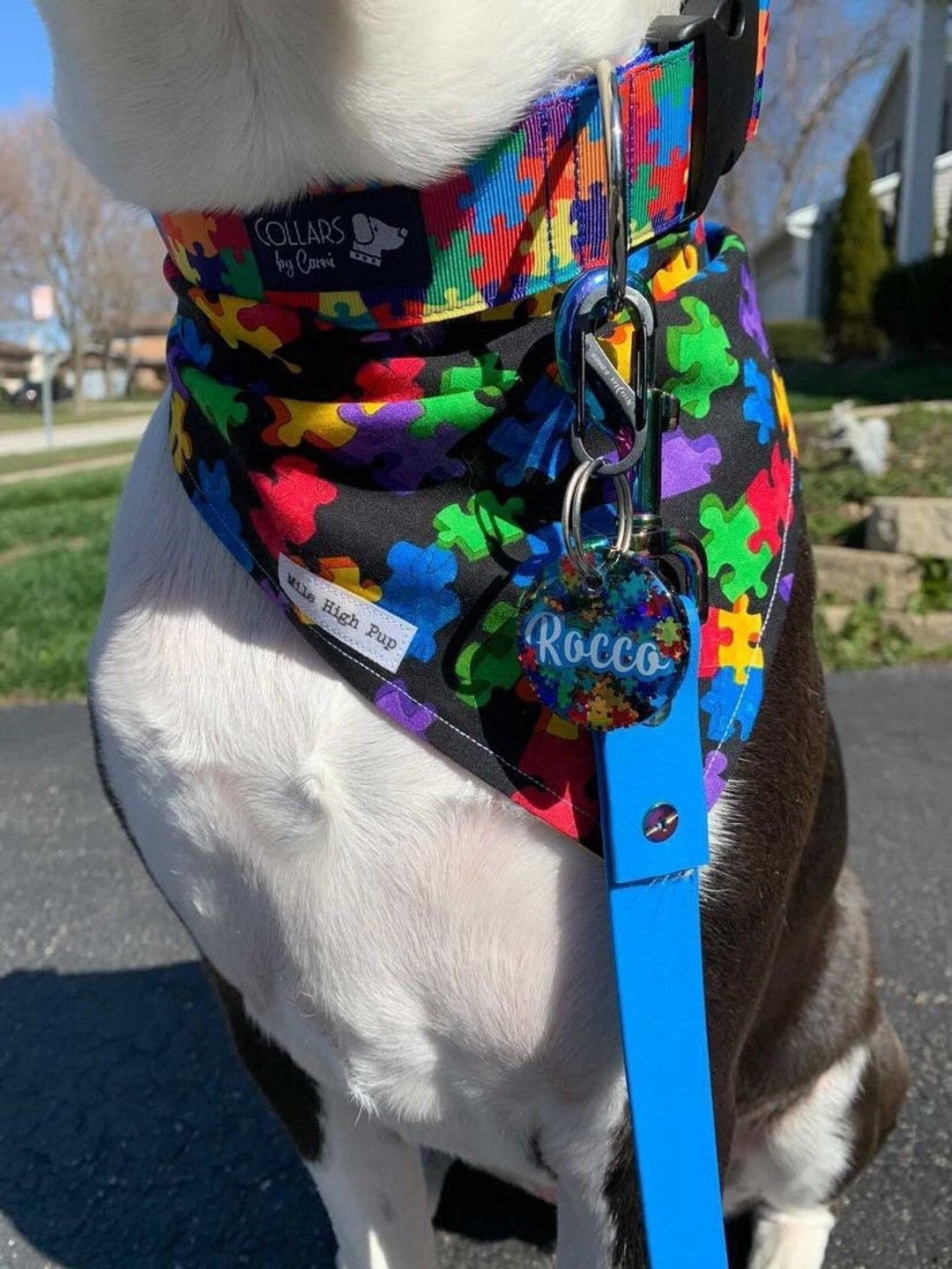 Jigsaw Puzzle Resin Pet Collar Tag Resin Dog Tag - Etsy