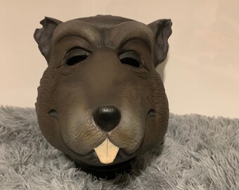 Master Splinter Costume - Etsy