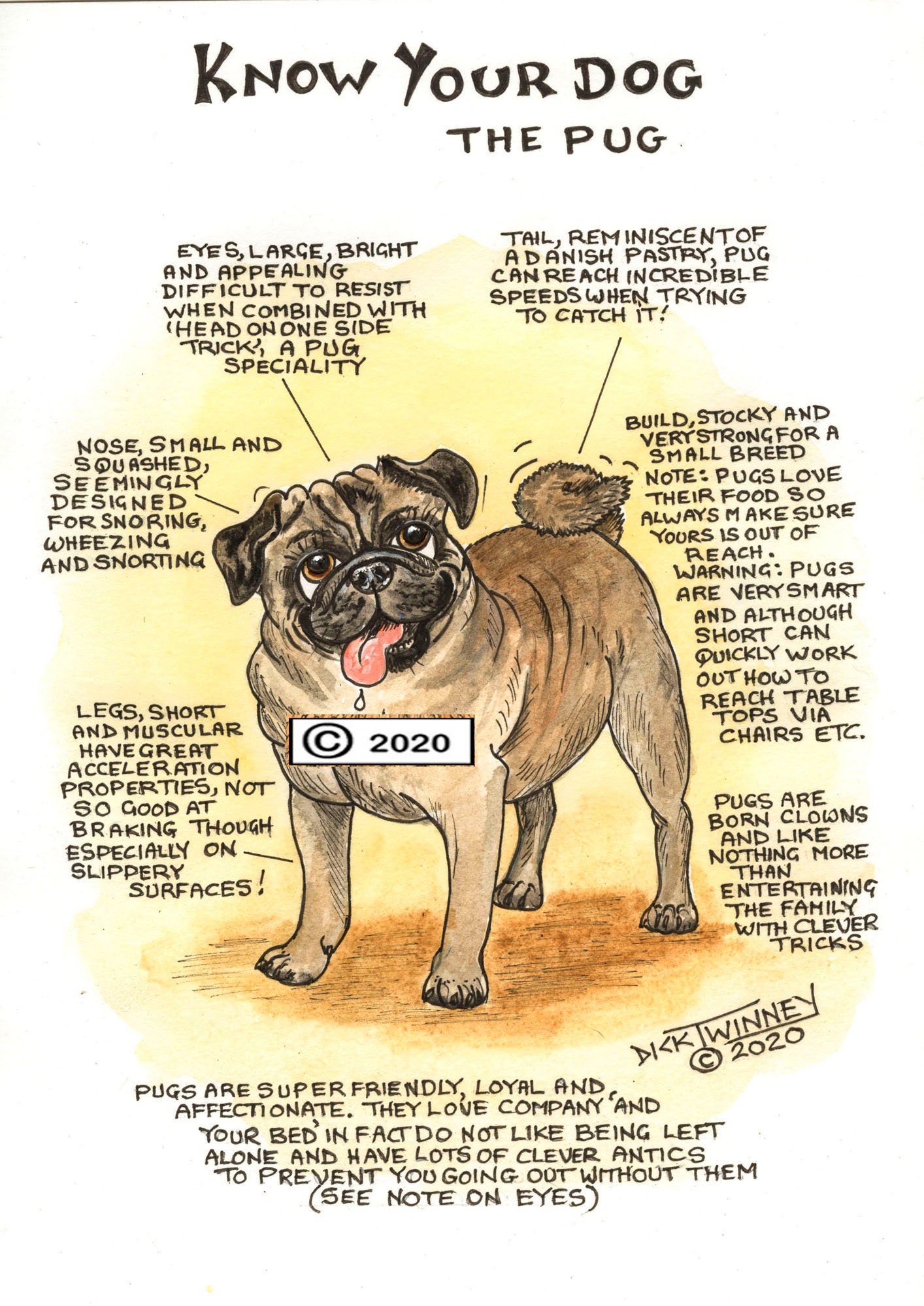 Dog Lovers ~ 'know Your Dog' ~ Canine Cartoon ~ Fine Art Print ~ the ...