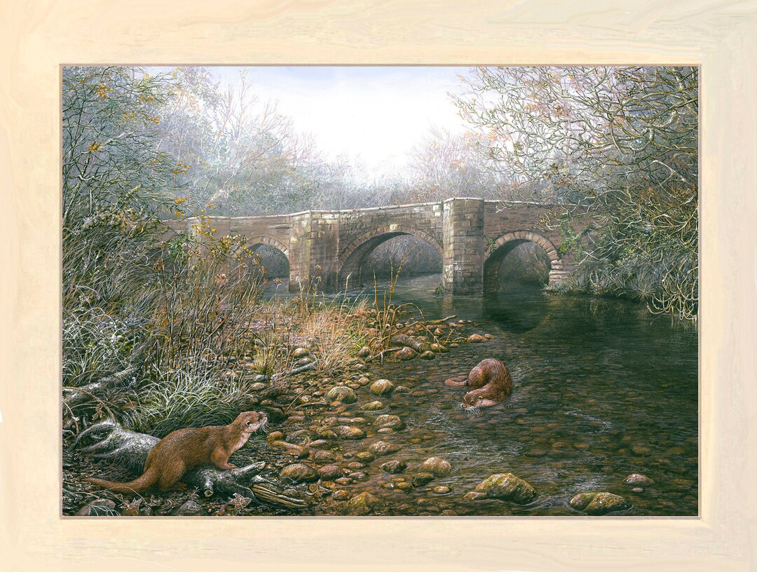 Cornwall My Home 'A Winters Morning Otters' Respryn Bridge, River Fowey ...