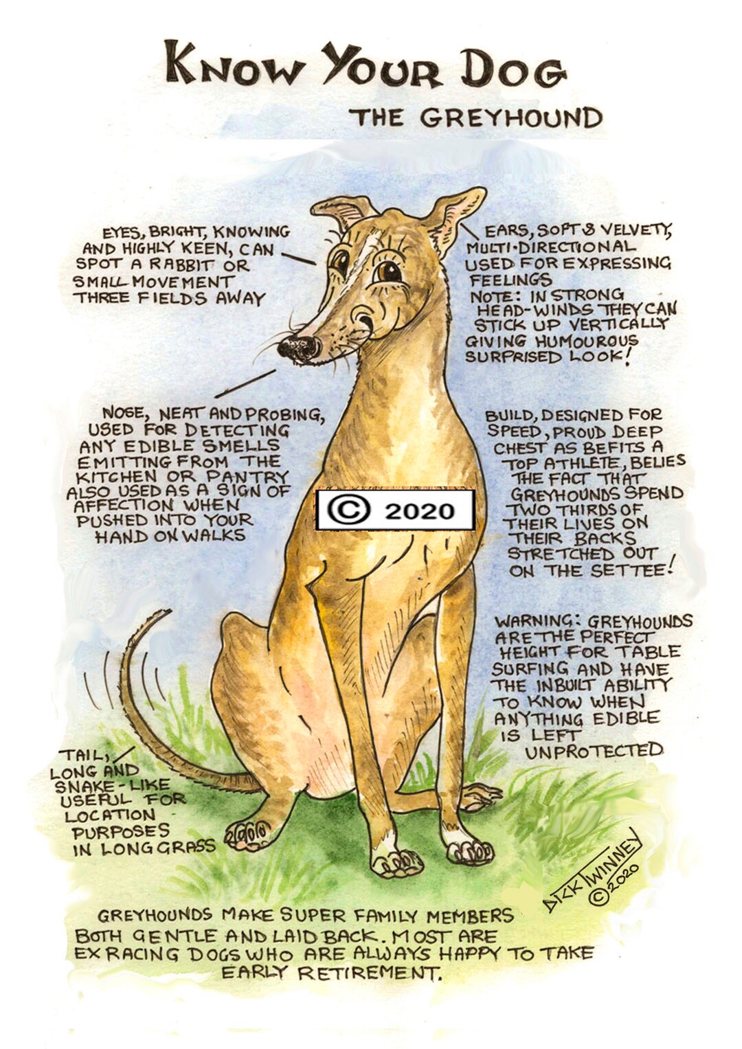 Dog Lovers ~ 'know Your Dog' ~ Canine Cartoon ~ Fine Art Print ~ the ...