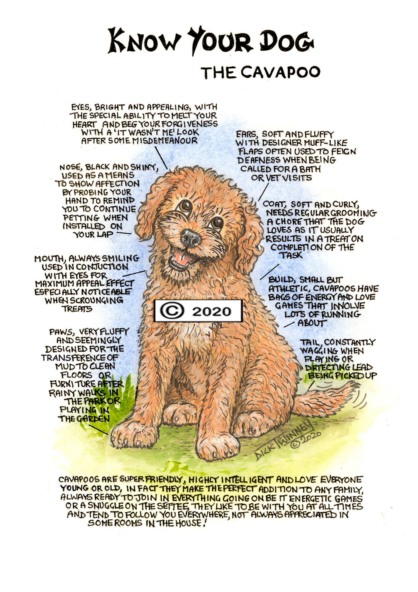 Dog Lovers ~ 'know Your Dog' ~ Canine Cartoon ~ Fine Art Print ~ the ...