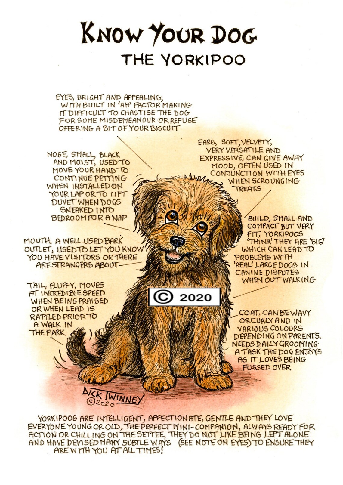 Dog Lovers ~ 'know Your Dog' ~ Canine Cartoon ~ Fine Art Print ~ the ...