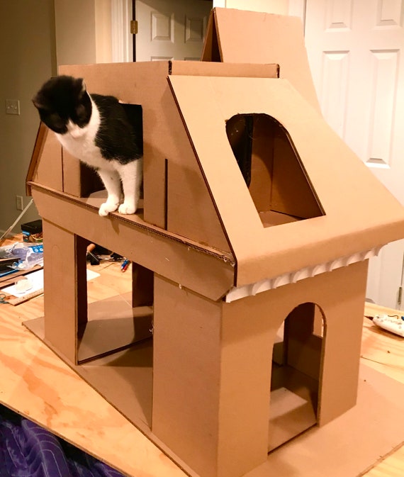 Homemade Kitten Houses