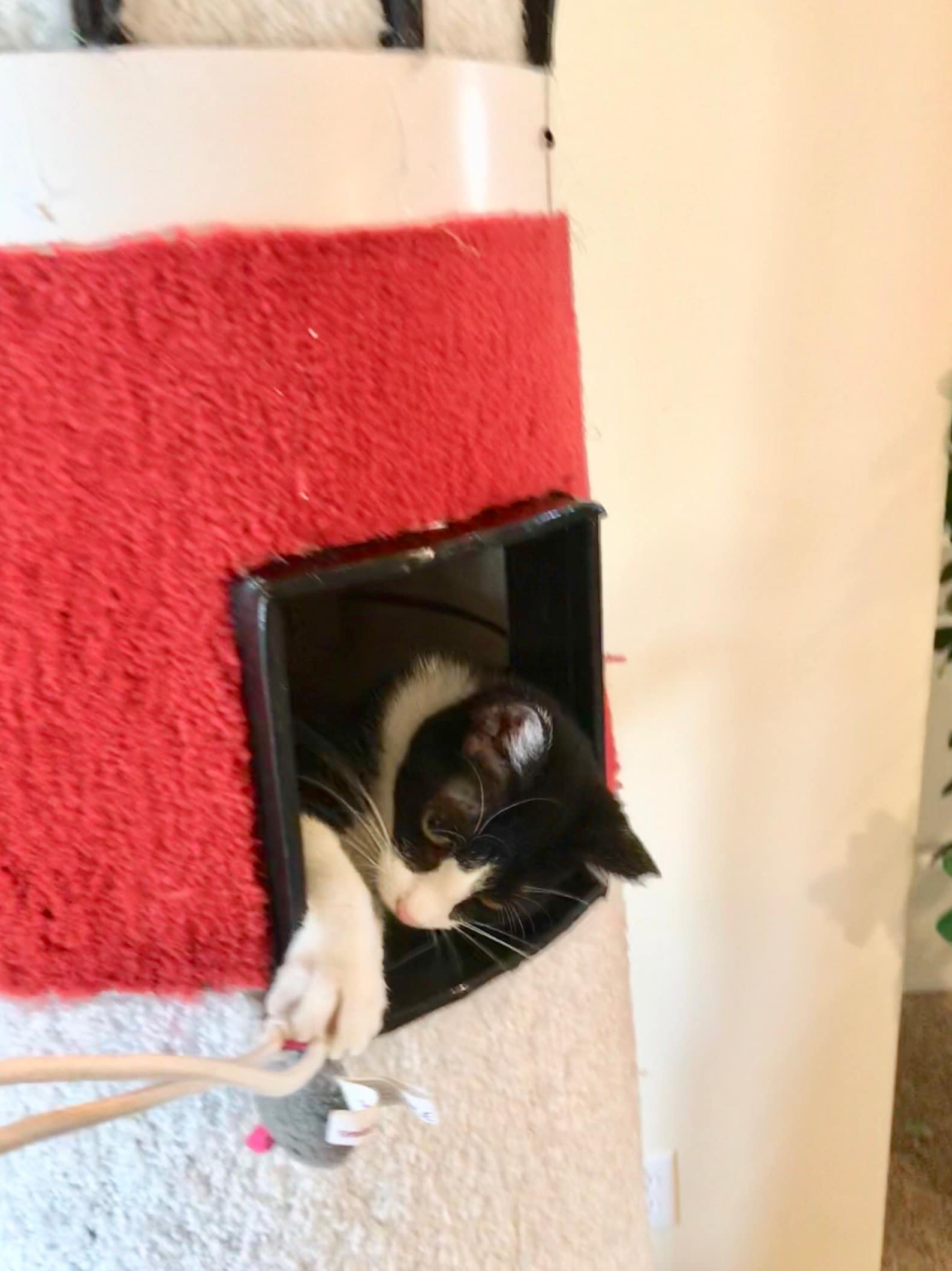 DIY Lighthouse Cat Tree Tower playhouse Plans & Patterns | Etsy