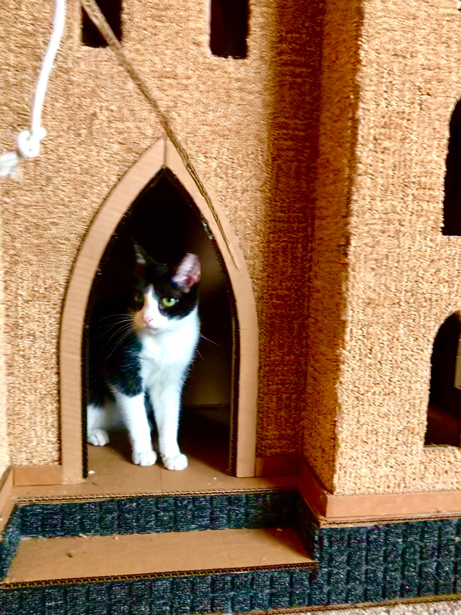 Diy Cat Castle Gothic Plans Cardboard Play House Pattern Etsy