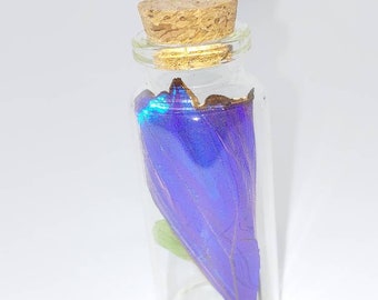 Real Butterfly Wing | Etsy