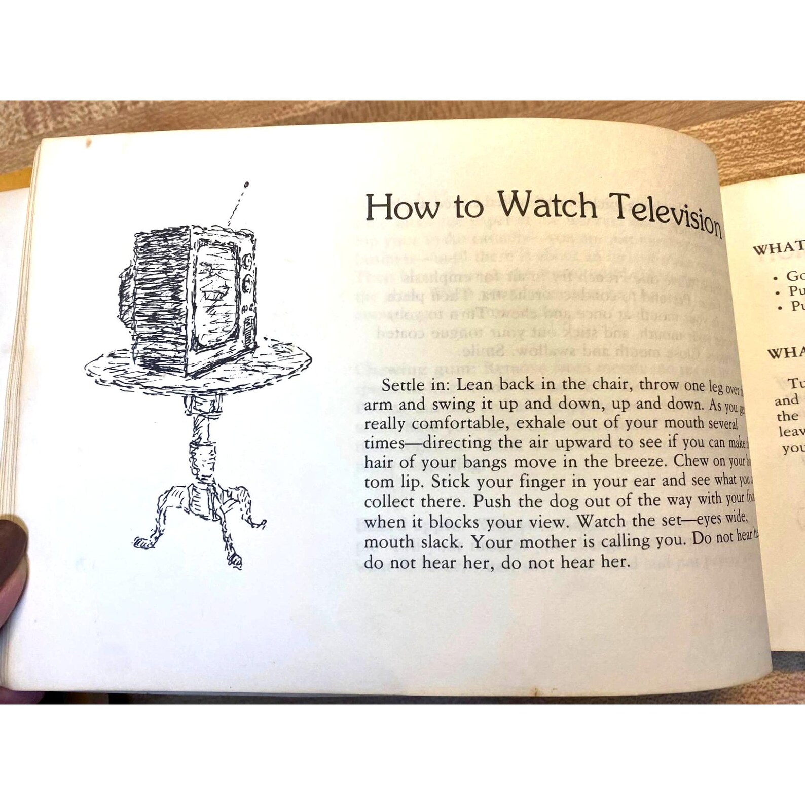 Delia Ephrons "how to Eat Like A Child" Softcover Book With ...