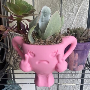 Angry Uterus Planter - Etsy