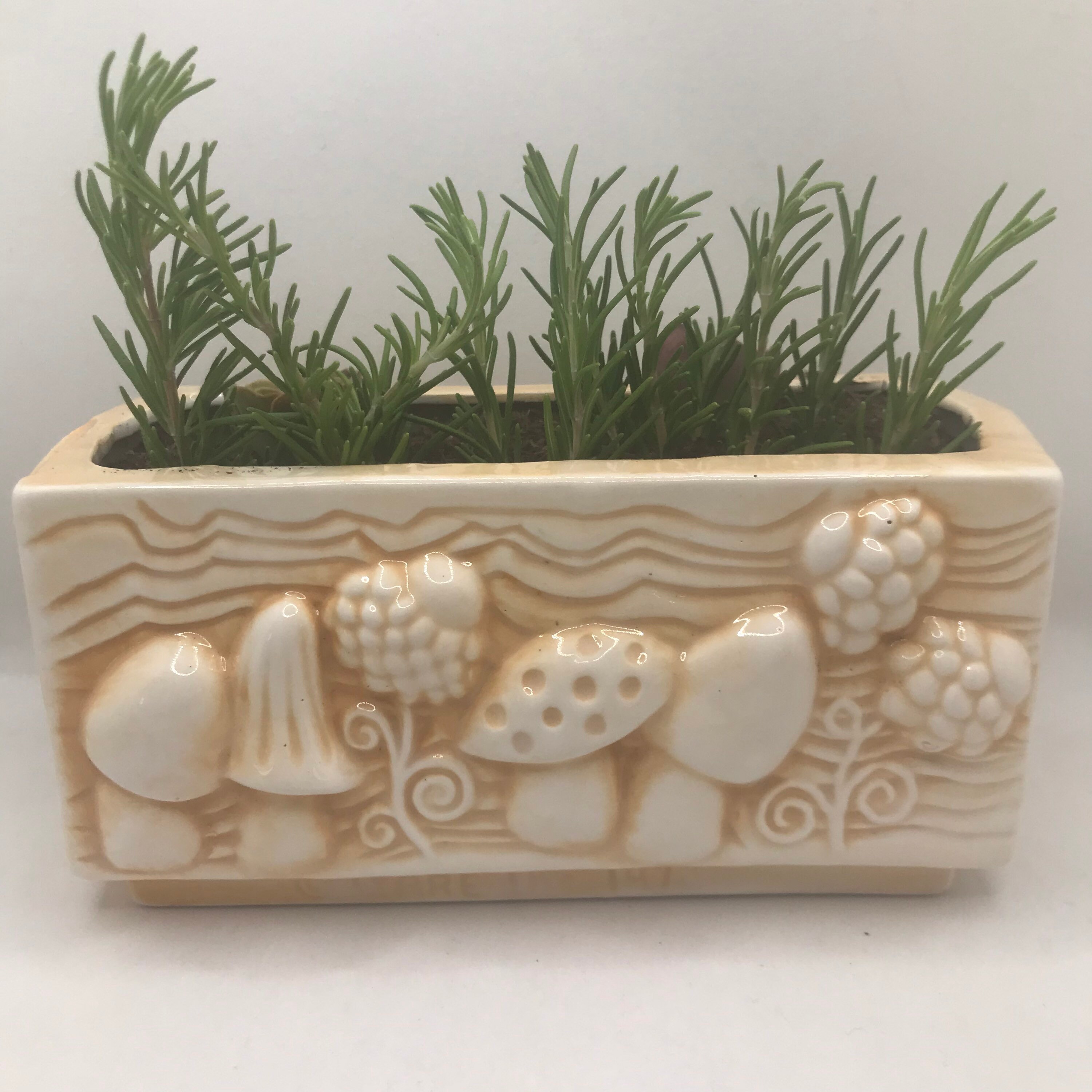 Whimsical mushroom planter rectangular | Etsy