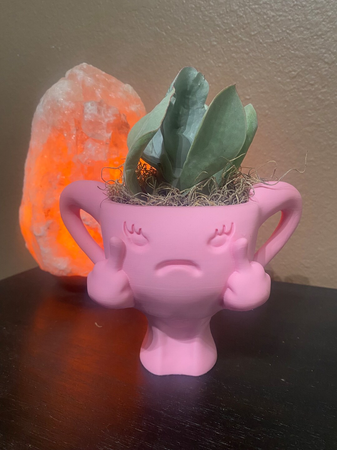 Angry Uterus Planter - Etsy