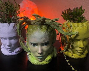 Hand-painted Concrete Medusa Head Planter Greek Mythology Gorgon ...