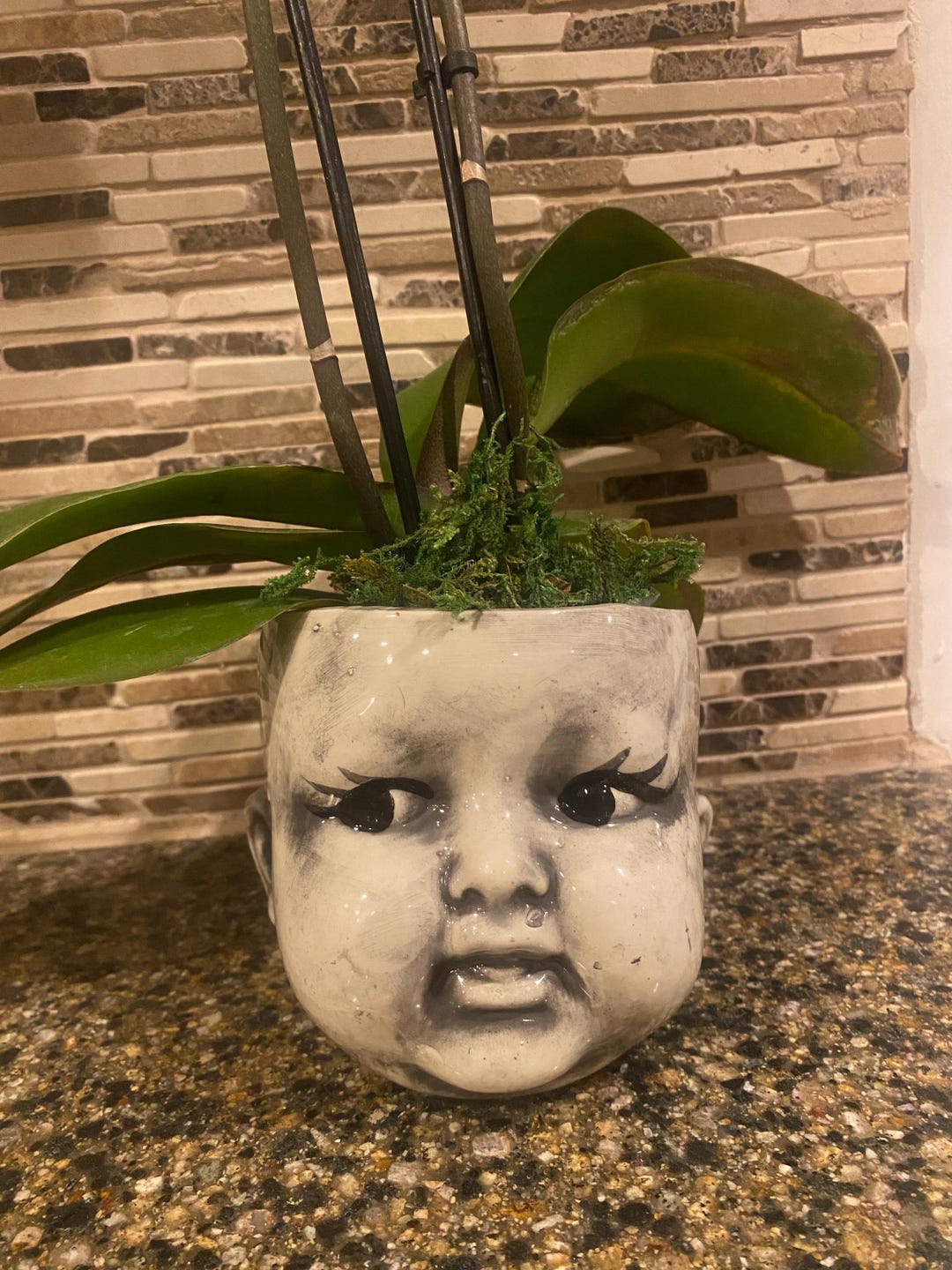 Side Eye Baby Head Planter - Etsy
