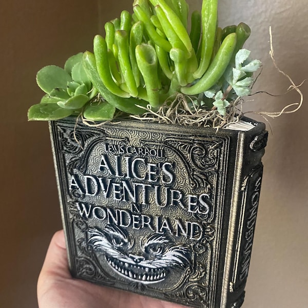 Alice in Wonderland Planter - Etsy