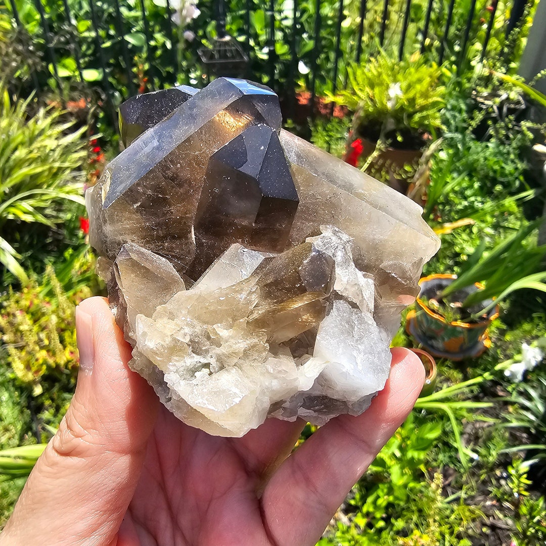 Black Smoky Quartz Cluster 3" Brazil Healing Crystal Quartz Negativity ...