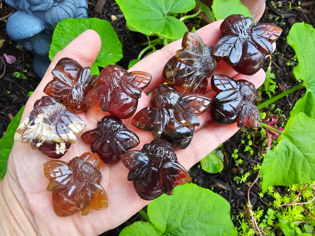 Genuine Amber Bee Carvings From Kalimantan Indonesia 1.25"-1.75", Hand ...