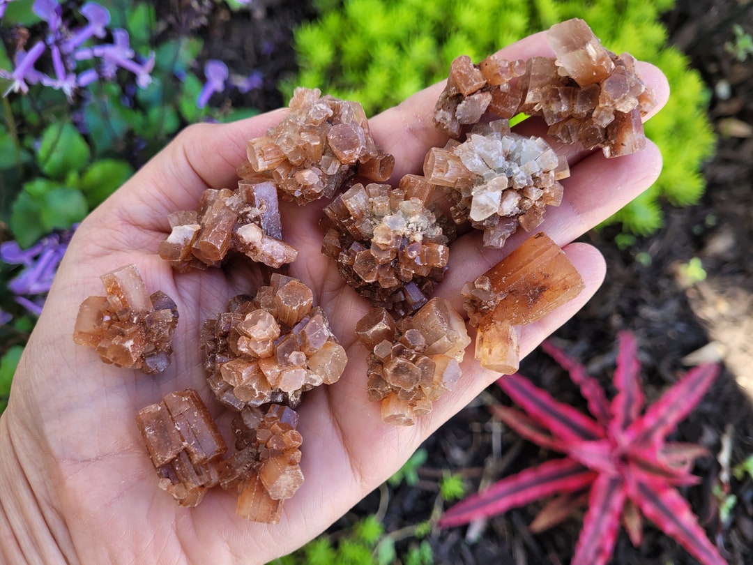 Mini Brown Aragonite Star Clusters .6"-1.5" (16-38mm) ~ Choose Your ...