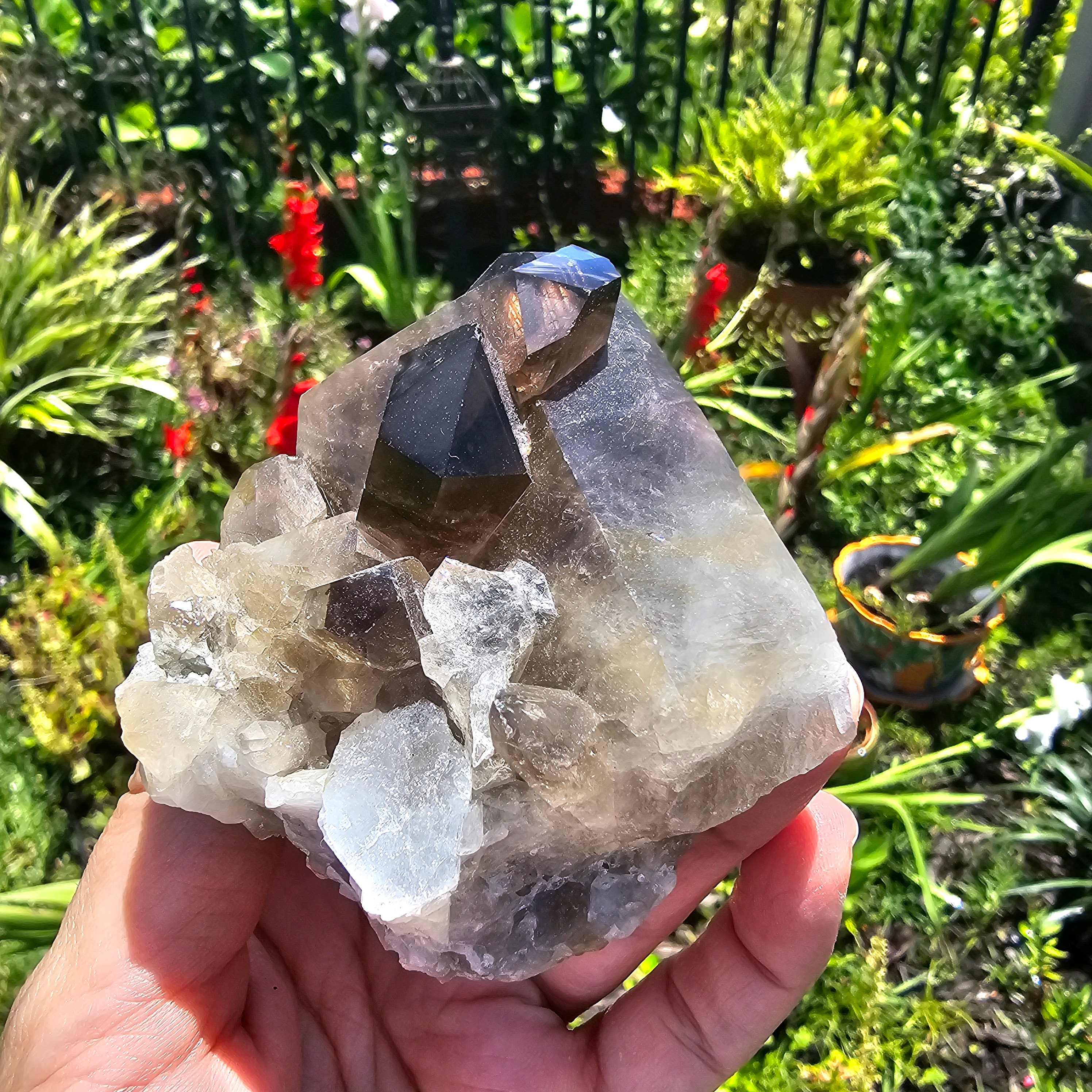 Black Smoky Quartz Cluster 3" Brazil Healing Crystal Quartz Negativity ...